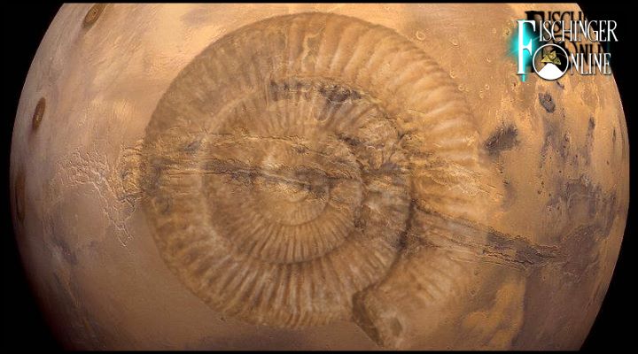 Hat die NASA Beweise für (einstiges) Leben auf dem Mars übersehen?