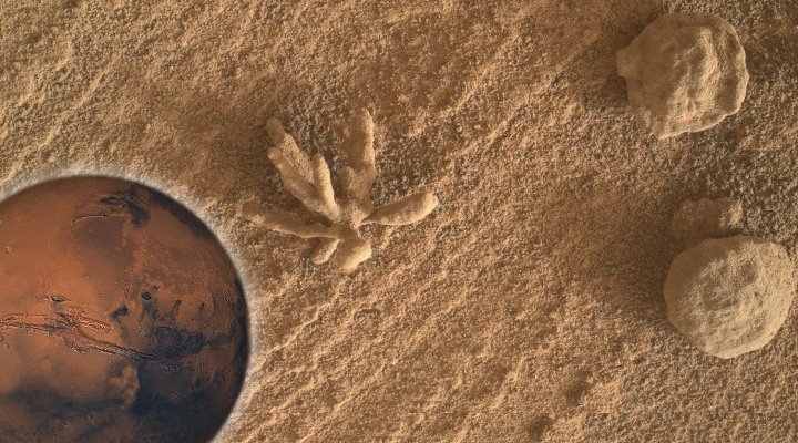 NASA-Rover "Curiosity" fotografiert eine mineralische "Mars-Blume"